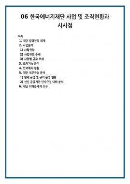 06 한국에너지재단 사업 및 조직현황과 시사점-1페이지
