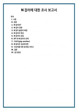 N잡러에 대한 조사 보고서-1페이지