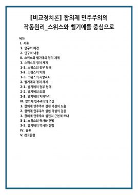 [비교정치론] 합의제 민주주의의 작동원리_스위스와 벨기에를 중심으로-1페이지