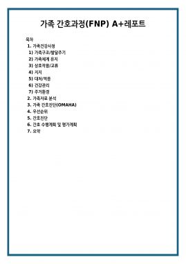 가족 간호과정(FNP)-1페이지