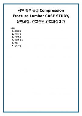 성인 척추 골절 Compression Fracture Lumbar CASE STUDY, 문헌고찰, 간호진단,간호과정2개-1페이지
