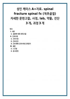 성인 케이스 자료. spinal fracture spinal fx (척추골절) 자세한 문헌고찰, 사정, lab, 약물, 진단3개, 과정3개-1페이지