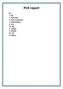 PCR report 레포트 자료-1페이지