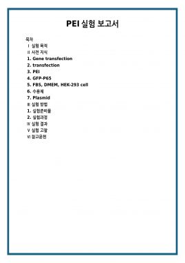 PEI실험 보고서-1페이지