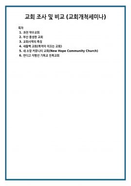 교회 조사 및 비교 (교회개척세미나)-1페이지