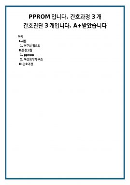 PPROM입니다. 간호과정 3개 간호진단 3개입니다. 받았습니다-1페이지