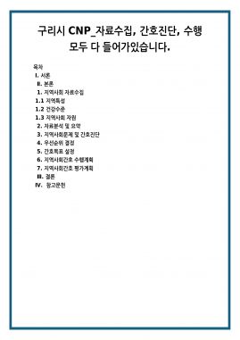 구리시 CNP_자료수집, 간호진단, 수행 모두 다 들어가있습니다.-1페이지