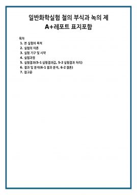 일반화학실험 철의 부식과 녹의 제 표지포함-1페이지