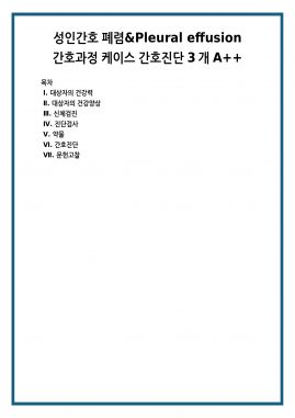 성인간호 폐렴&Pleural effusion 간호과정 케이스 간호진단 3개-1페이지
