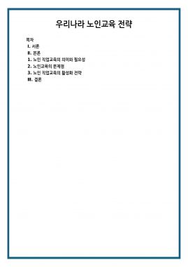 우리나라 노인교육 전략-1페이지