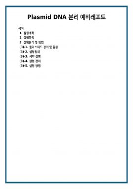 Plasmid DNA 분리 예비레포트-1페이지