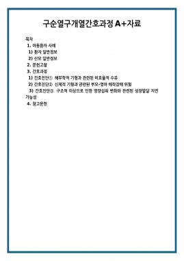 구순열구개열간호과정자료-1페이지