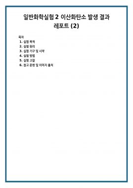 일반화학실험2 이산화탄소 발생 결과 레포트 (2)-1페이지