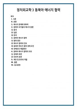정치외교학 )  동북아 에너지 협력-1페이지