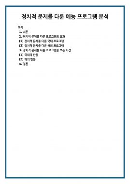 정치적 문제를 다룬 예능 프로그램 분석-1페이지