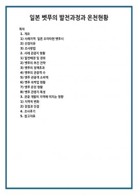 일본 벳푸의 발전과정과 온천현황-1페이지