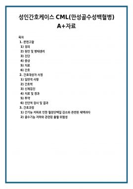 성인간호케이스 CML(만성골수성백혈병) 자료-1페이지