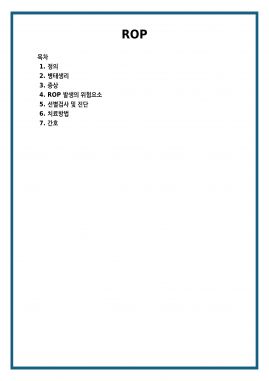 ROP 레포트 자료-1페이지