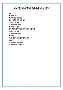 국가별 마약범죄 실태와 대응전략-1페이지