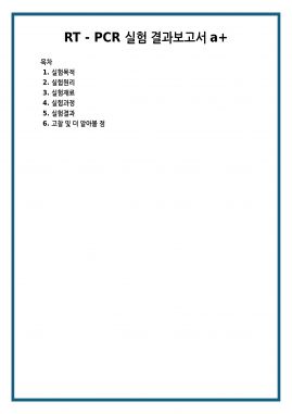 RT - PCR 실험 결과보고서-1페이지