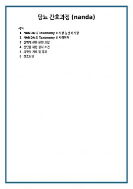 당뇨 간호과정 (nanda)-1페이지