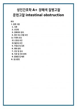성인간호학 장폐색 질병고찰 문헌고찰 intestinal obstruction-1페이지