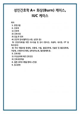 성인간호학 화상(Burn) 케이스, IUC 케이스-1페이지