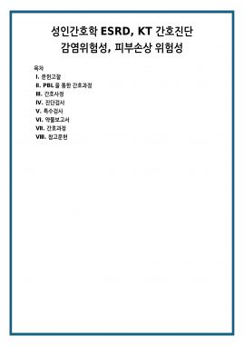 성인간호학 ESRD, KT 간호진단 감염위험성, 피부손상 위험성-1페이지