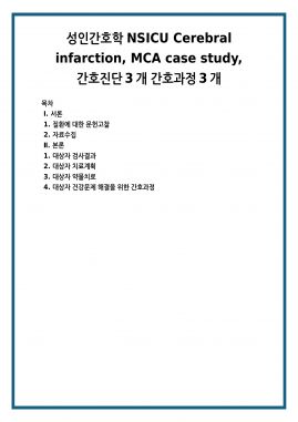 성인간호학 NSICU Cerebral infarction, MCA case study, 간호진단3개 간호과정3개-1페이지