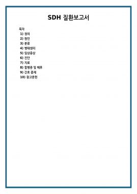 SDH 질환보고서-1페이지