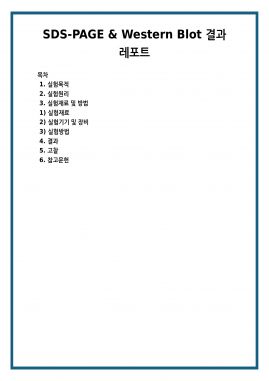 SDS-PAGE & Western Blot 결과 레포트-1페이지