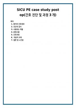 SICU PE case study post op(간호 진단 및 과정 3개)-1페이지