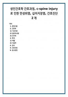 성인간호학 간호과정, c-spine injury로 인한 만성위염, 십이지장염, 간호진단2개-1페이지