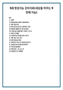 SQ영성지능 강의자료(세상을 바꾸는 9번째 지능)-1페이지