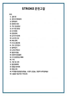 STROKE문헌고찰-1페이지
