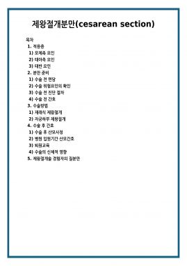 제왕절개분만(cesarean section)-1페이지