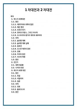 1차대전과 2차대전-1페이지
