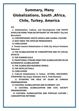 Summary, Many Globalizations,  South ,Africa,  Chile,  Turkey,  America-1페이지