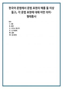 한국어 문법에서 문법 표현의 예를 둘 이상 들고, 각 문법 표현에 대해 어떤 의미·형태통사-1페이지