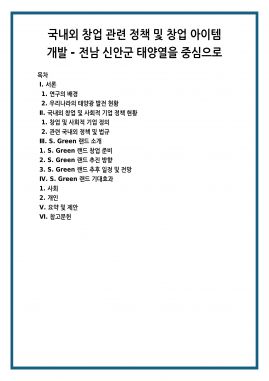 국내외 창업 관련 정책 및 창업 아이템 개발 - 전남 신안군 태양열을 중심으로-1페이지