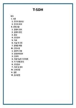 T-SDH (1) 레포트 자료-1페이지