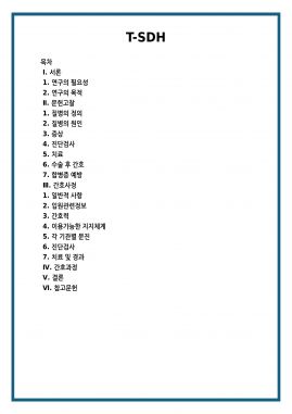 T-SDH 레포트 자료-1페이지