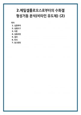 2.메틸셀룰로오스로부터의 수화젤 형성거동 분석(비타민 유도체) (2)-1페이지