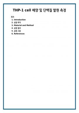 THP-1 cell 배양 및 단백질 발현 측정-1페이지
