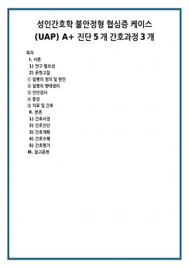 성인간호학 불안정형 협심증 케이스 (UAP) 진단5개 간호과정3개-1페이지