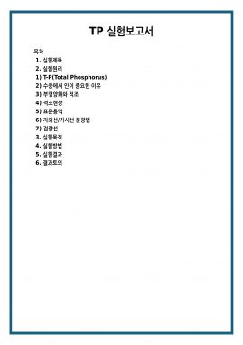 TP 실험보고서-1페이지