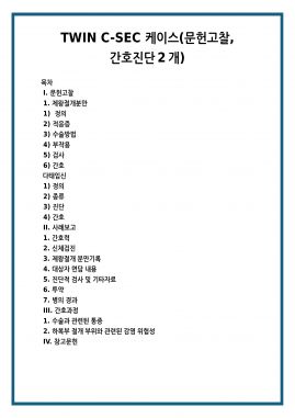 TWIN C-SEC 케이스(문헌고찰, 간호진단2개)-1페이지