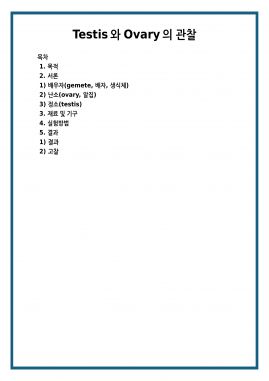 Testis와 Ovary의 관찰-1페이지