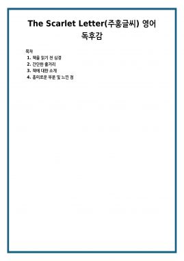 The Scarlet Letter(주홍글씨) 영어 독후감-1페이지