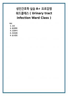 성인간호학 실습 요로감염 워드클래스 (Urinary tract infection Ward Class)-1페이지